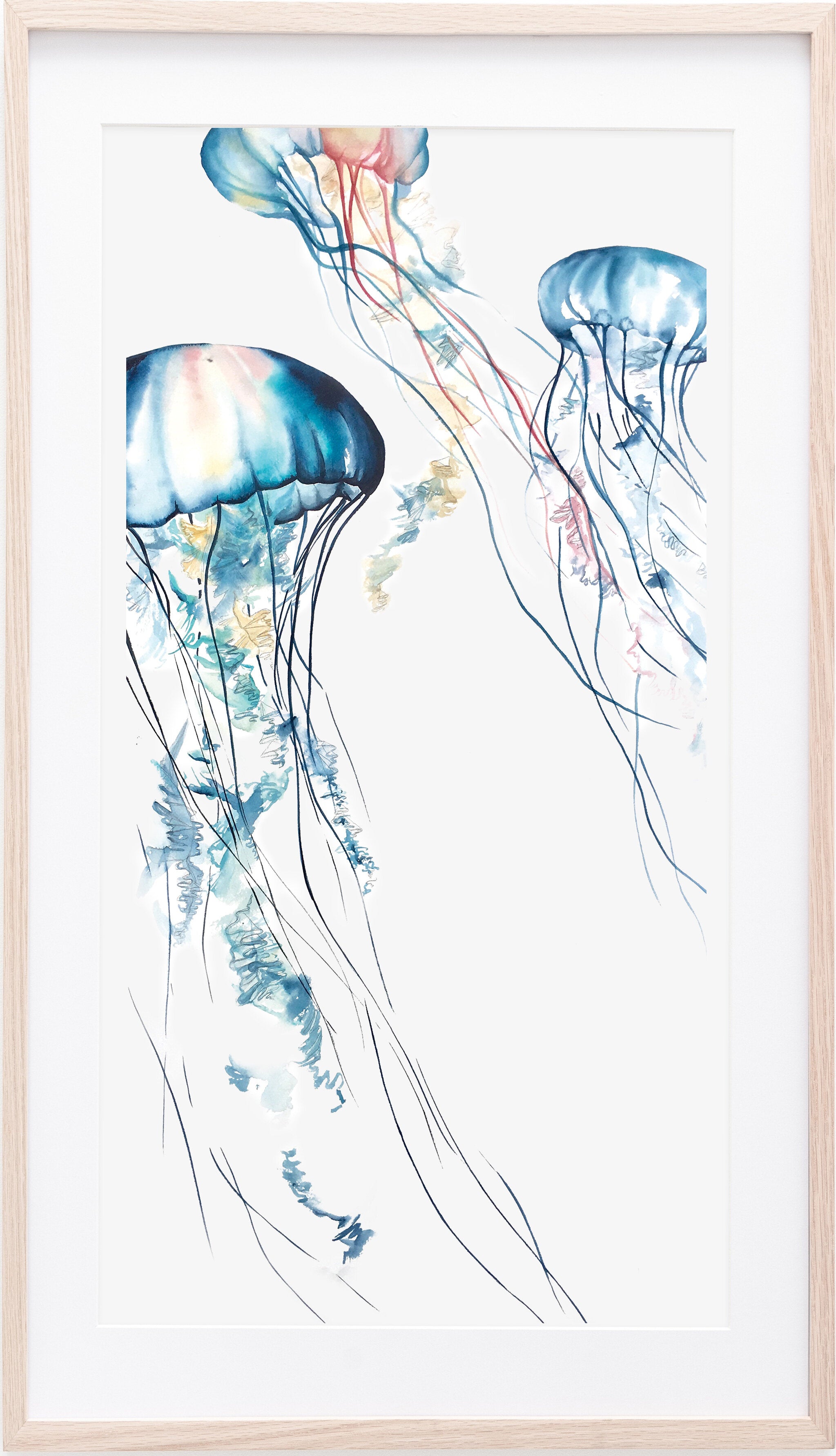 Sea Nettles Limited Edition Print – Kelly Clause Art